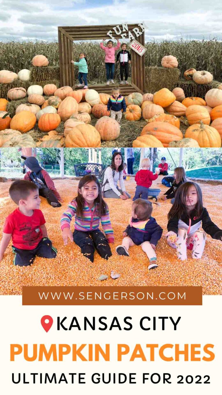Ultimate Guide to Kansas City Pumpkin Patches y City Pumpkin Patches ...