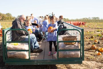 Ultimate Guide to Kansas City Pumpkin Patches y City Pumpkin Patches ...