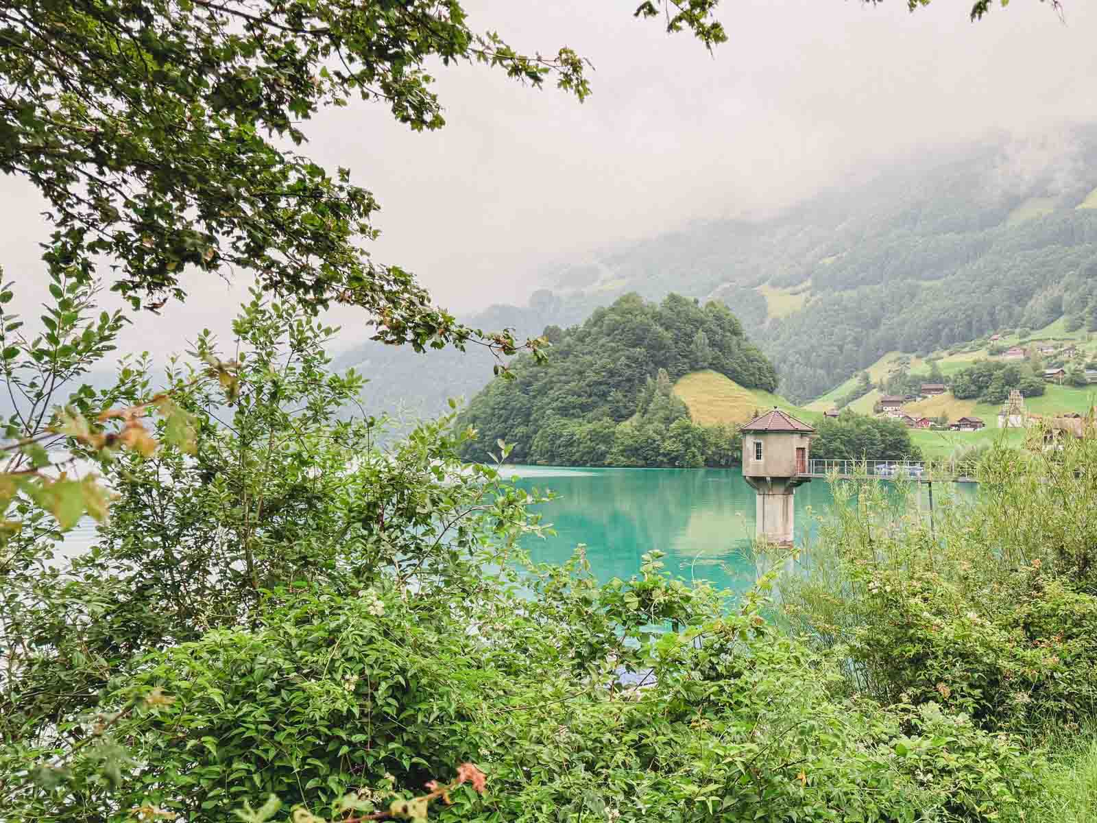 Swiss Bernese Alps in August: Perfect 8-Hour Day Trip from Zurich