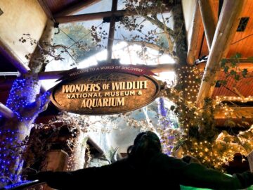 11+ Things to Do at Wonders Of Wildlife National Museum & Aquarium